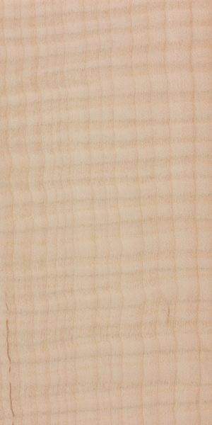 Curly Soft Maple – London Lumber